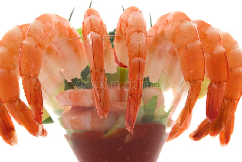 Shrimp stock photo. Image of marine, healthy, exotic, shrimp - 5327650