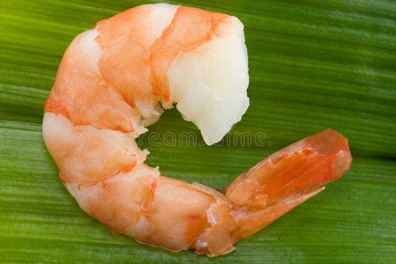Two Shrimp stock image. Image of ingredient, appetizer - 24397361