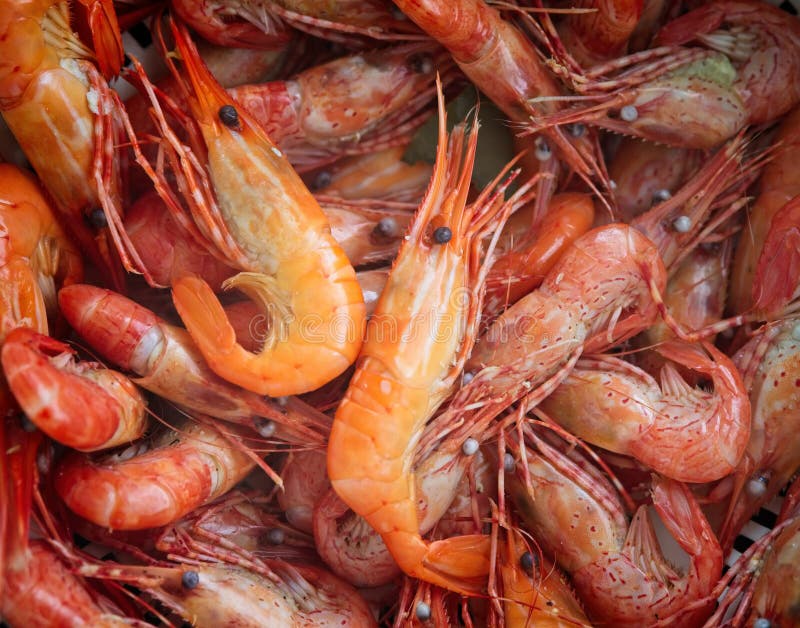Shrimp close-up stock photo. Image of shell, seafood - 132108770
