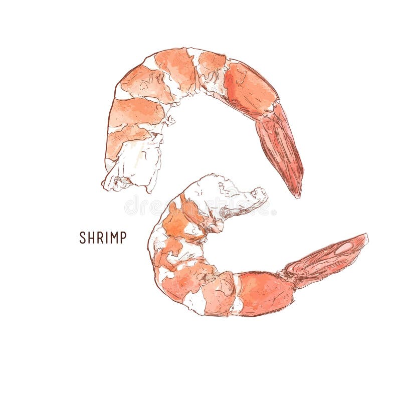 Cocktail Line Drawing Stock Illustrations – 8,833 Cocktail Line Drawing ...