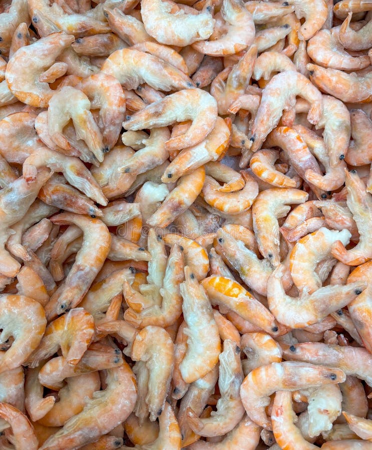 Shrimp on the Counter in the Market Stock Image - Image of shellfish ...
