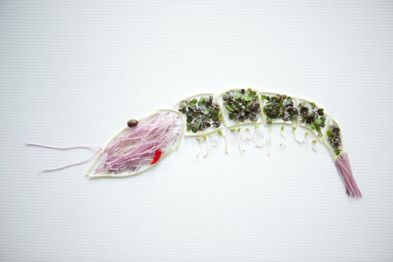 Shrimp Design Using Sprouts Stock Image - Image of pescetarianism ...
