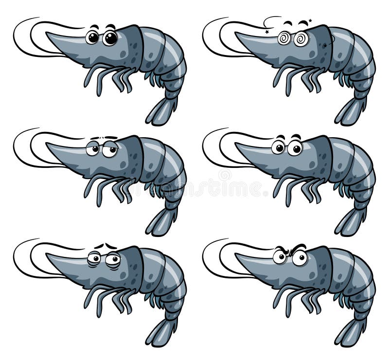 Sad Shrimp Stock Illustrations – 60 Sad Shrimp Stock Illustrations ...