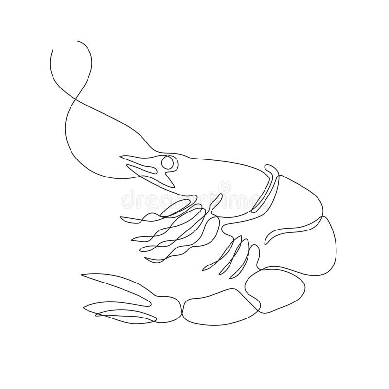 Shrimp Continuous One Line Drawing Minimalist Design Stock Vector ... Shrimp Continuous One Line Drawing Minimalist Design Stock Vector ...