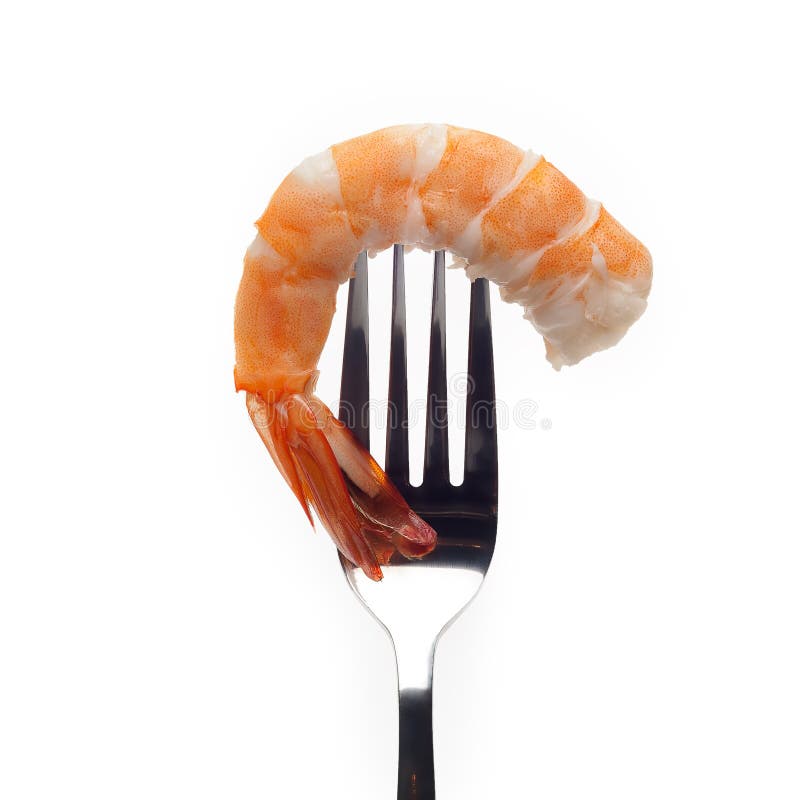 Prawn on fork stock photo. Image of healthy, ingredient - 33204424