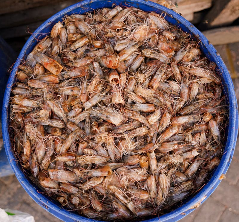 Shrimp big head split down stock image. Image of appetizer - 163829783