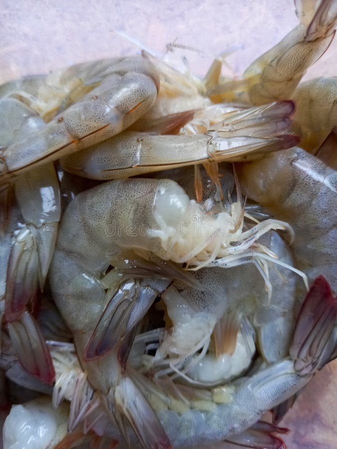 Shrimp Head Cleaned, Ready To Cook Stock Photo - Image of closeup, cook ...
