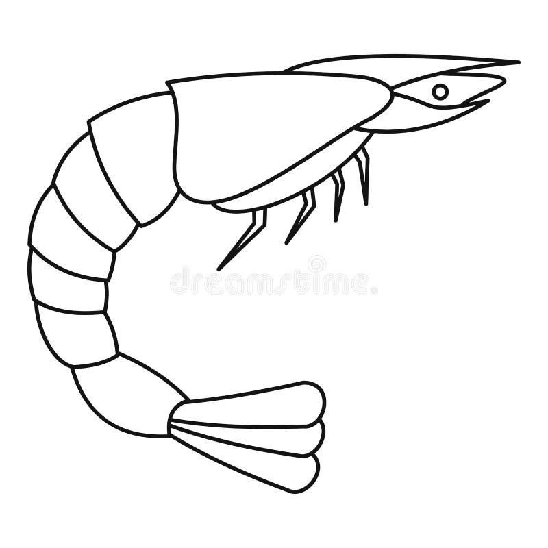 Shrimp icon, outline style stock vector. Illustration of cuisine - 88275508