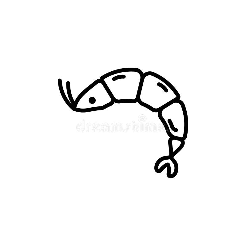 Shrimp Icon Set Seafood Illustrations for Culinary and Nutritional ...