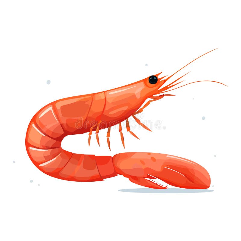 Cute Orange Shrimp Stock Illustrations – 335 Cute Orange Shrimp Stock ...