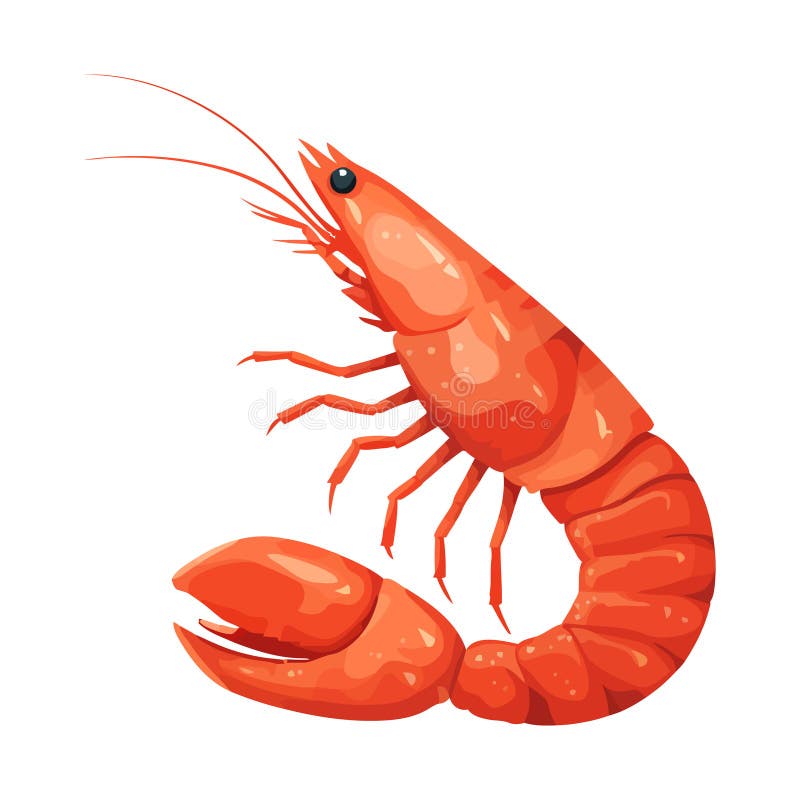 Cute Orange Shrimp Stock Illustrations – 335 Cute Orange Shrimp Stock ...