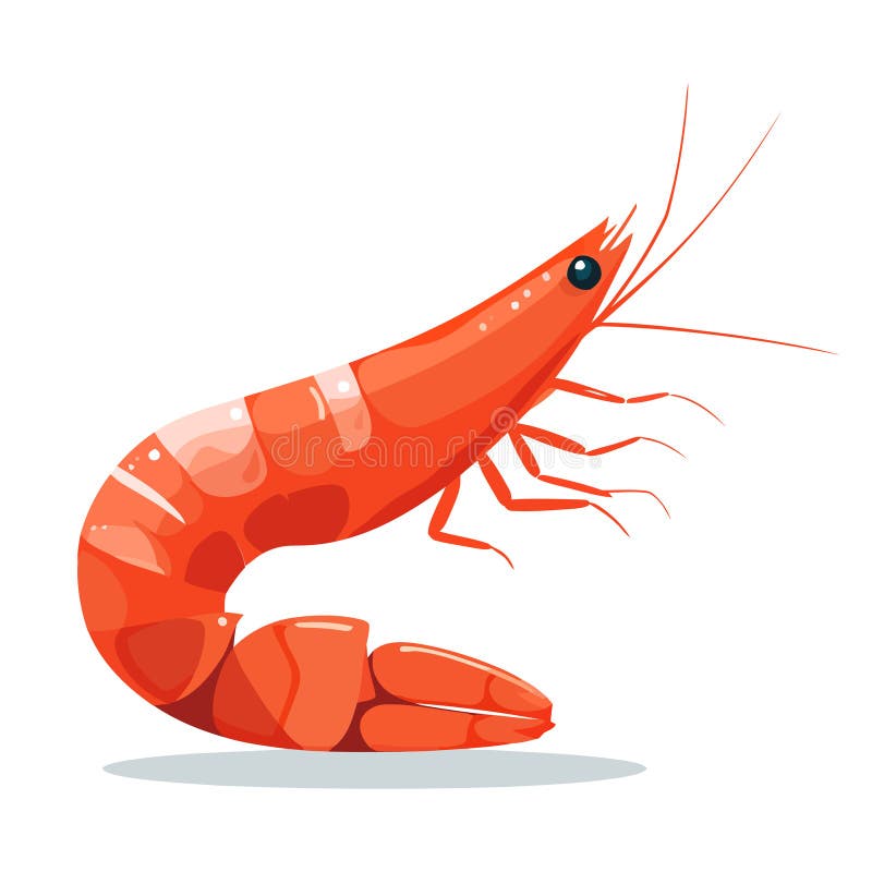 Cute Orange Shrimp Stock Illustrations – 335 Cute Orange Shrimp Stock ...