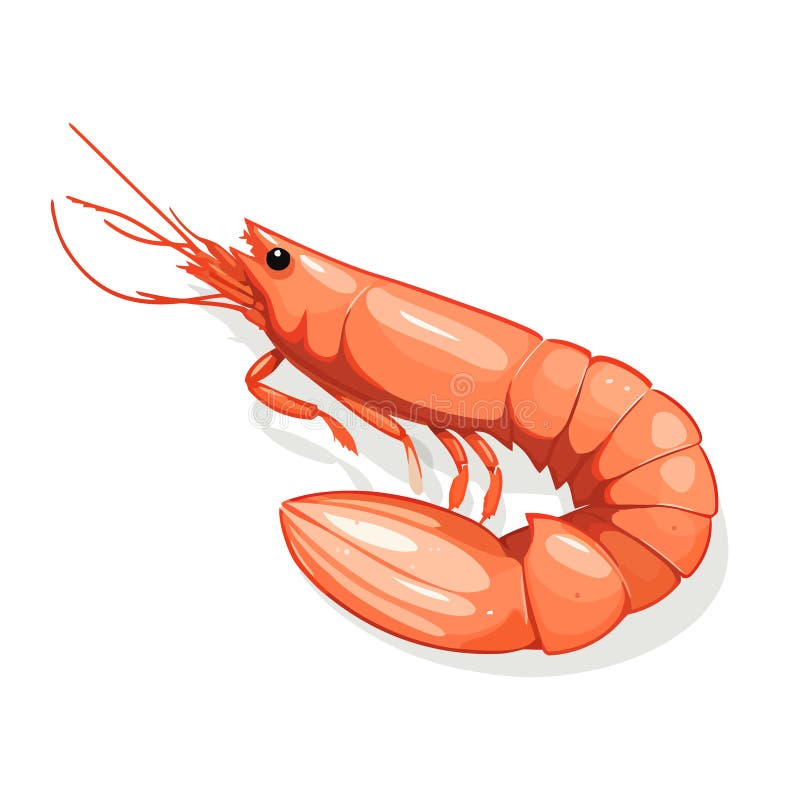 Cute Orange Shrimp Stock Illustrations – 335 Cute Orange Shrimp Stock ...