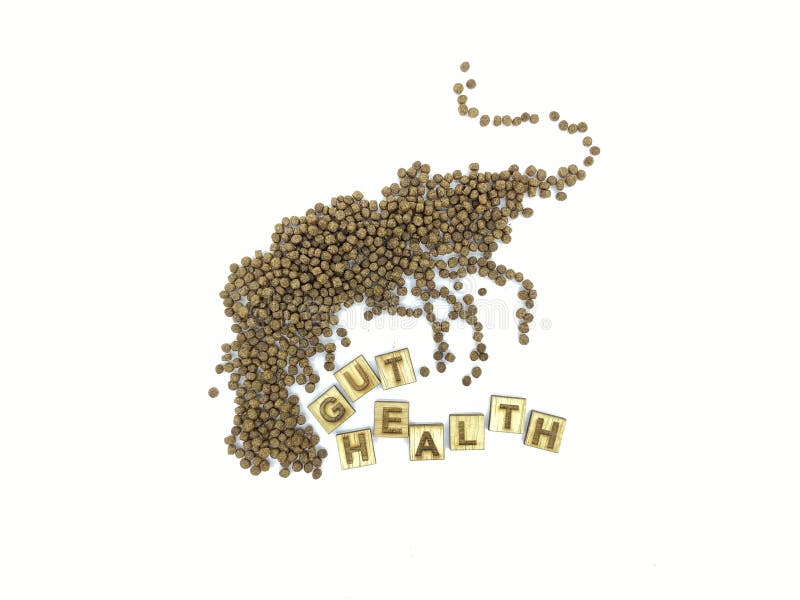 SHRIMP IMMUNITY ISSUES, Diseases Symptoms, Boost Immune Stock Photo ...