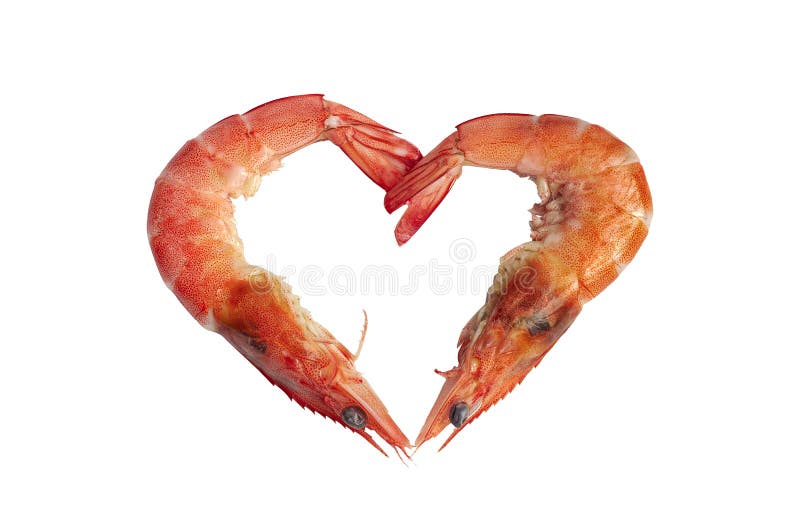 Shrimp isolated stock image. Image of head, heart, luxury - 210019631