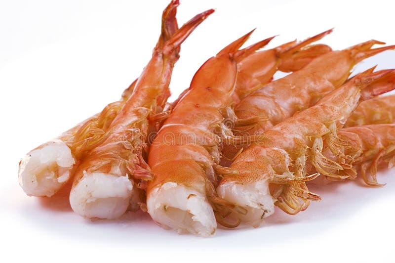 Shrimp close-up stock photo. Image of protein, shellfish - 193756074