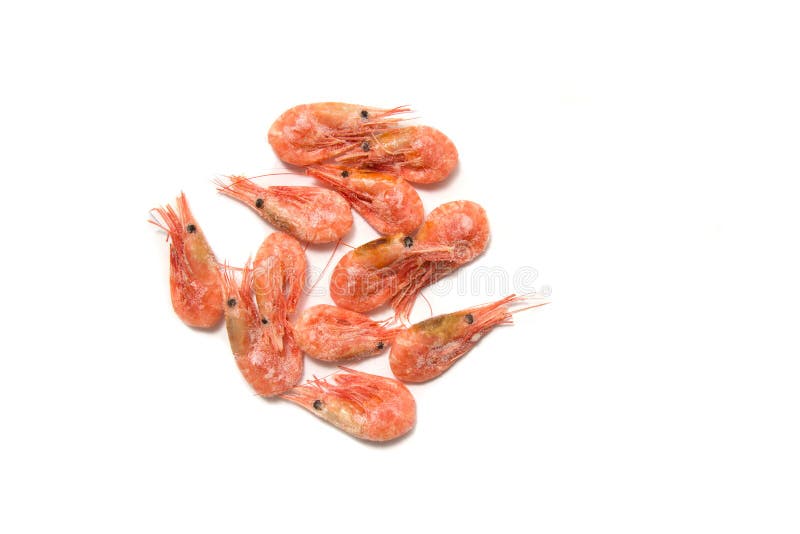 Shrimp Isolated White Background Frozen Seafood Copyspace Stock Photos ...