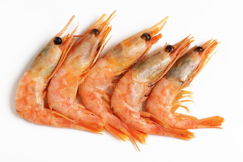Shrimp Isolated on White Background. Top View Stock Image - Image of ...