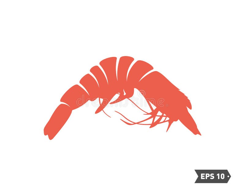 Shrimp Logo Design Vector. Isolated Shrimp on White Background. Prawns ...