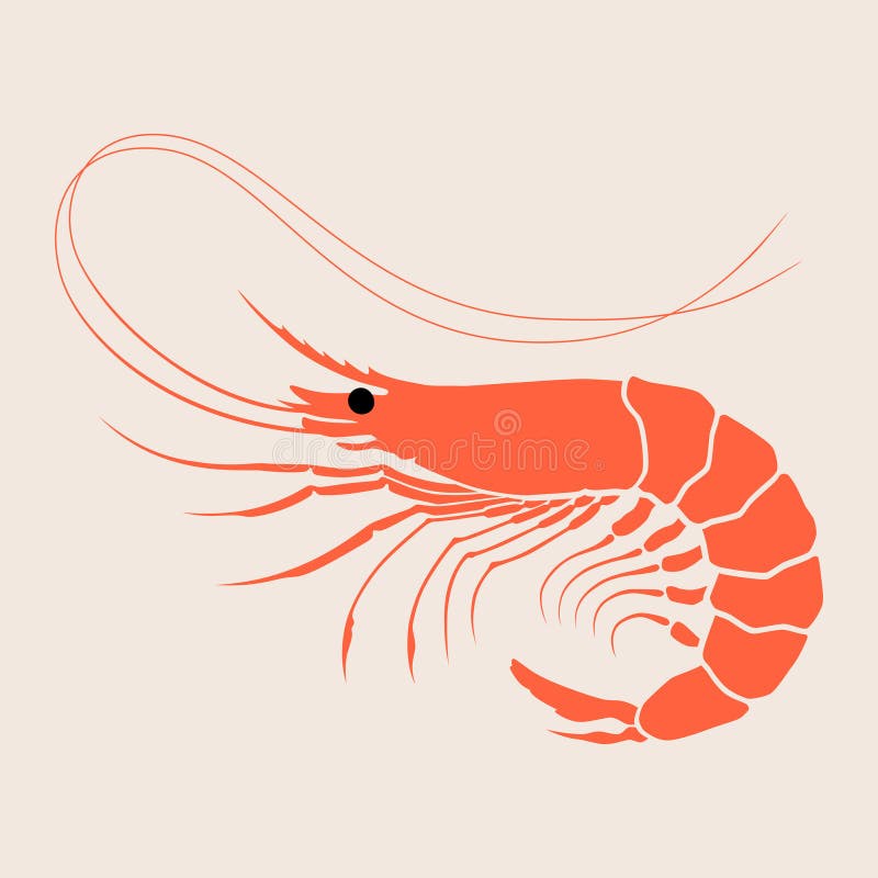 Vector Shrimp Logo on White Background Stock Vector - Illustration of ...