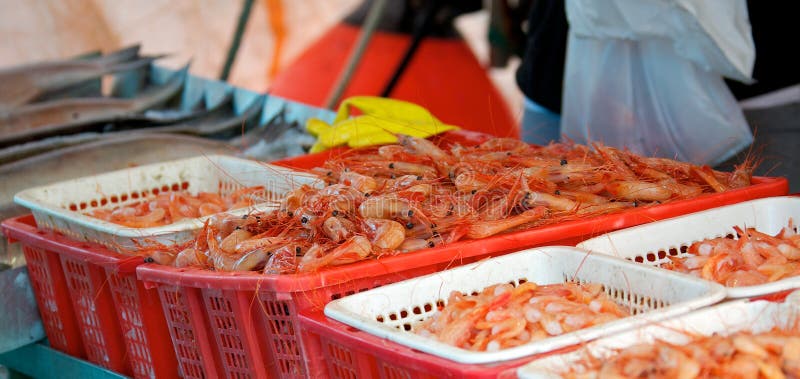 Shrimp at market stock photo. Image of fishing, healthy - 20798220