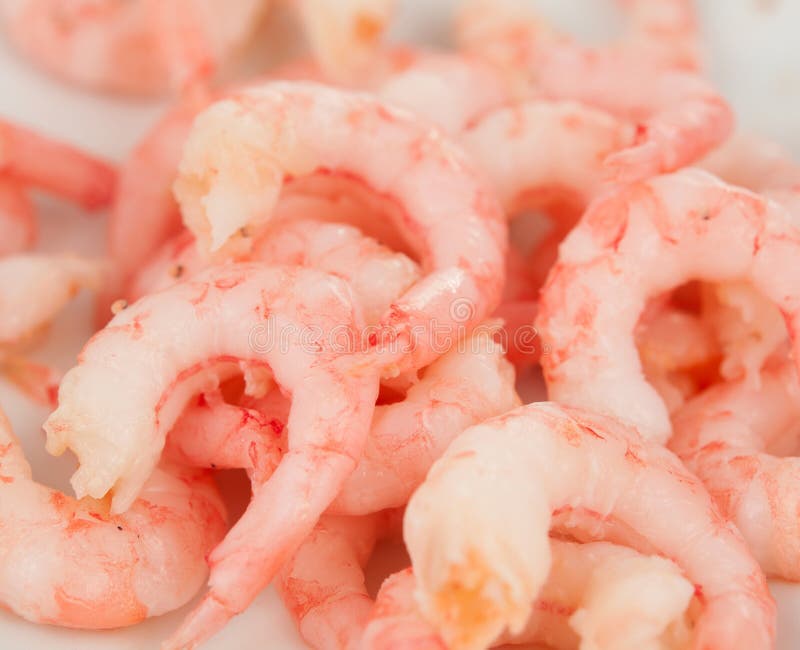 Shrimp meat stock photo. Image of boiled, plate, object - 22563262