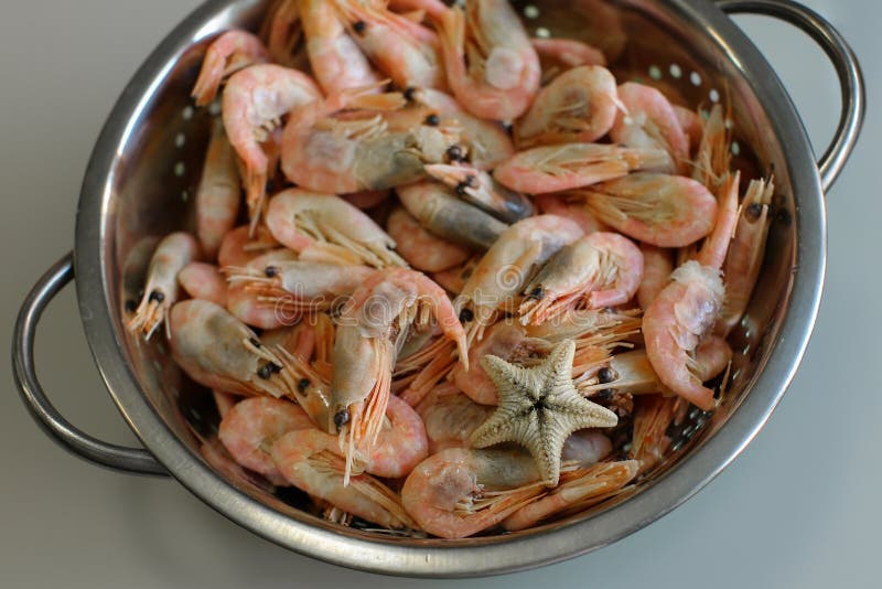 Shrimp and One Starfish in a Mettalic Colander Stock Photo - Image of ...