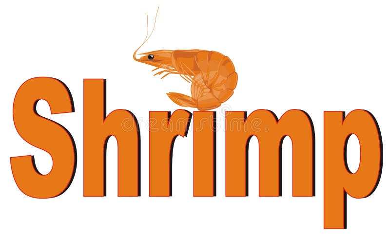 Shrimp and oramge letters stock illustration. Illustration of isolated ...