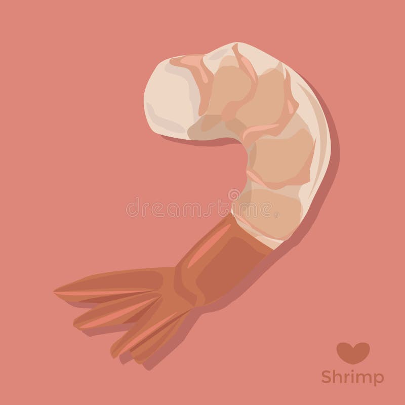 Shrimp on Orange Background Stock Vector - Illustration of love, prawn ...