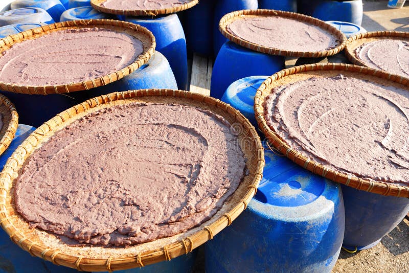 Shrimp paste stock image. Image of salt, asian, hong - 20291181