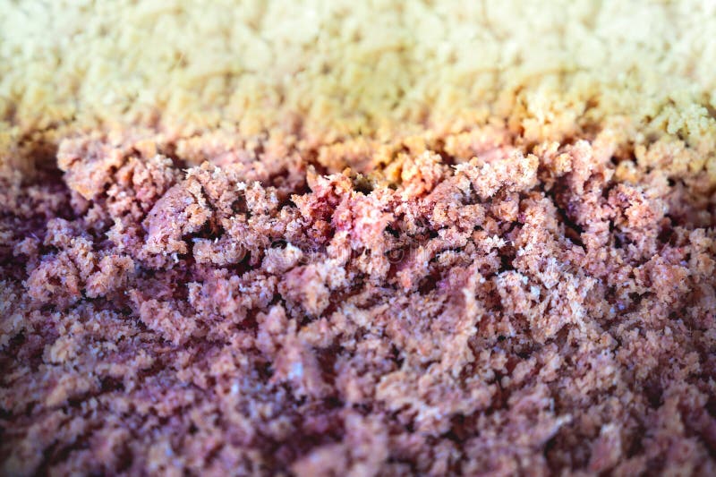 Shrimp paste or Kapi stock image. Image of paste, kapi - 309913933