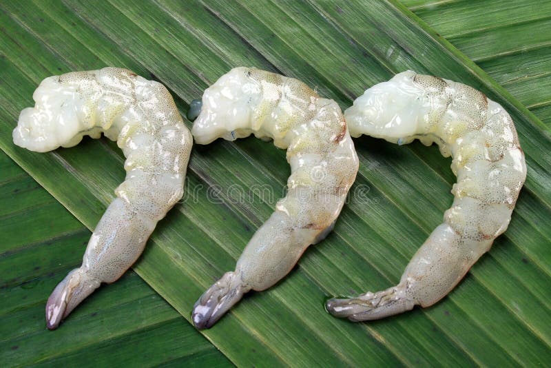 Shrimp PD Tail-off stock photo. Image of devain, leaf - 65945072