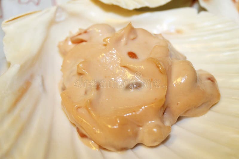 Shrimp stock photo. Image of traditional, shrimp, shell - 89474538