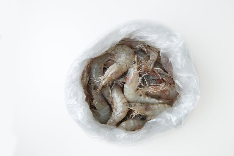 Shrimp in plastic bag stock photo. Image of plastic, prawn - 60022652