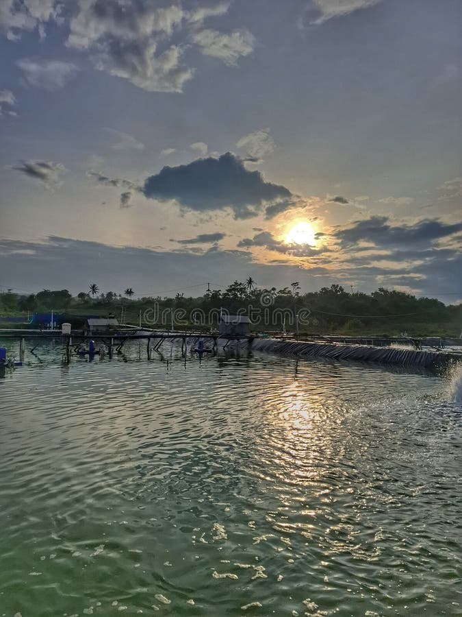 Shrimp Pond on the South Coast of West Java Photographed in the ...