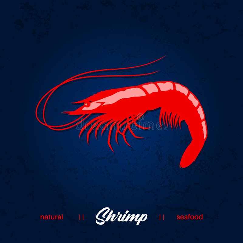 Shrimp or Prawn Poster Design Stock Vector - Illustration of brand ...