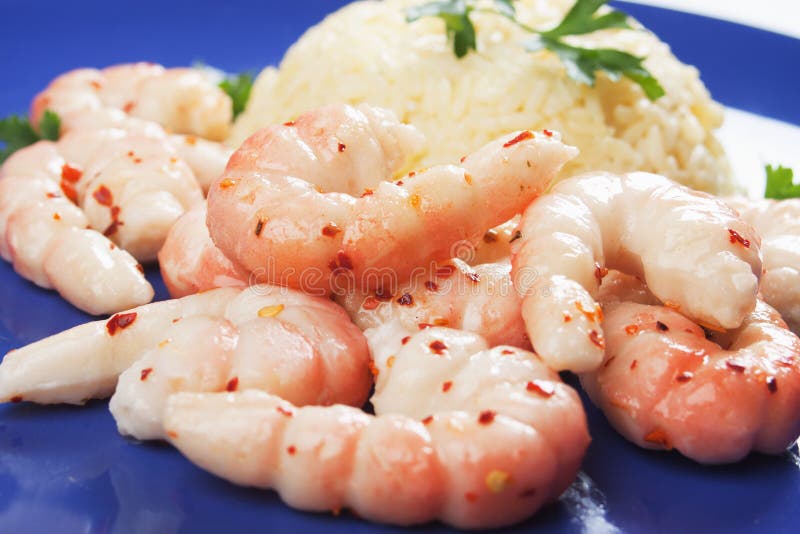 Shrimp Prawns with Cooked Rice Stock Image - Image of cooked, blue ...