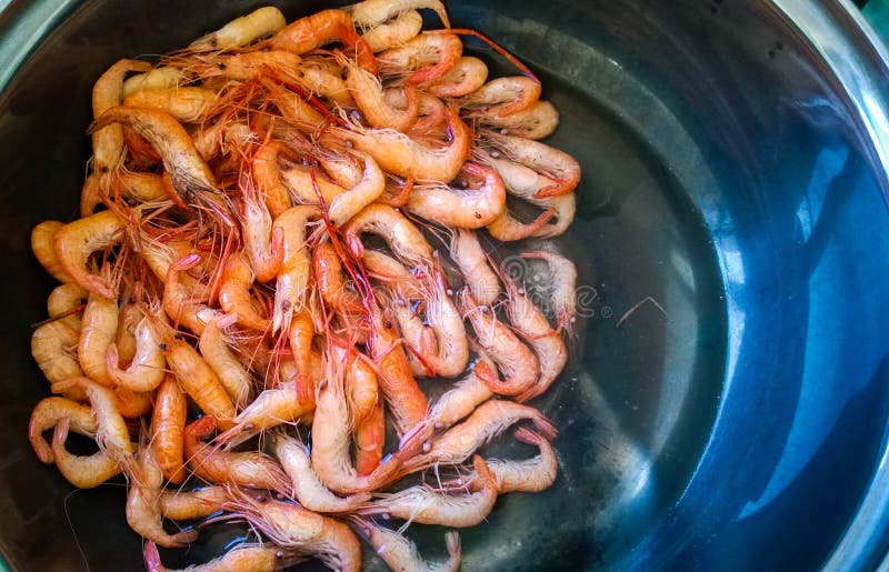 Shrimp stock photo. Image of river, food, fresh, enjoy - 45979336