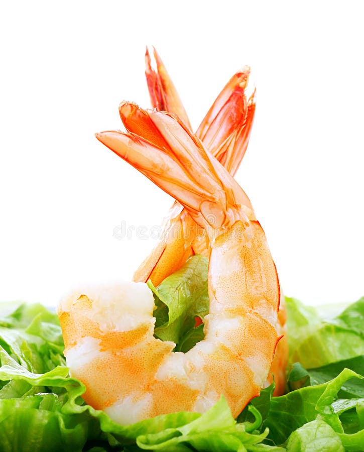 Two Shrimp stock image. Image of ingredient, appetizer - 24397361
