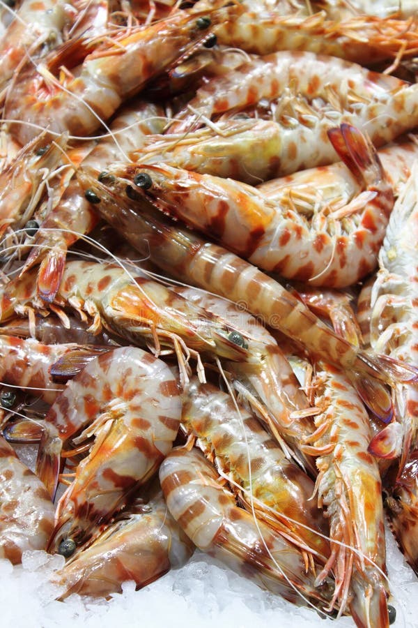 Shrimp for Sale in a Fish Market Stock Image - Image of background ...