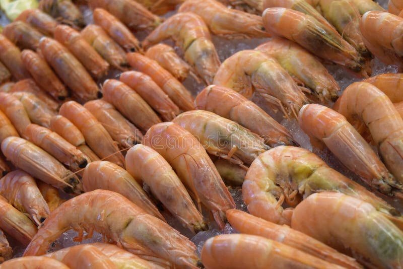 Shrimp, Seafood, Dendrobranchiata, Caridean Shrimp Picture. Image ...