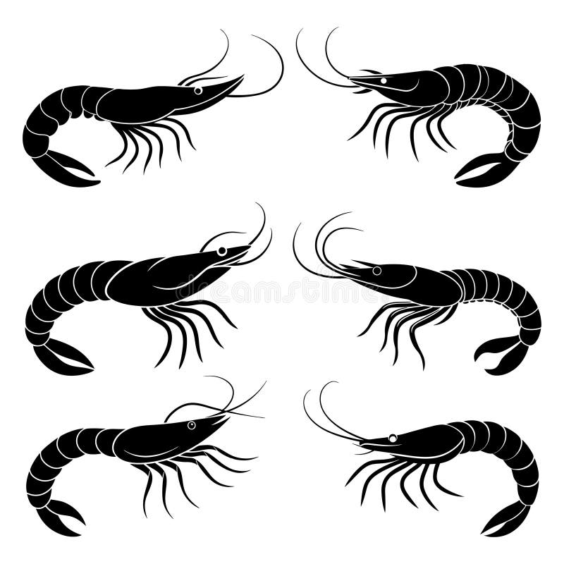 Shrimp Shape Silhouette Vector Illustration Stock Vector - Illustration ...