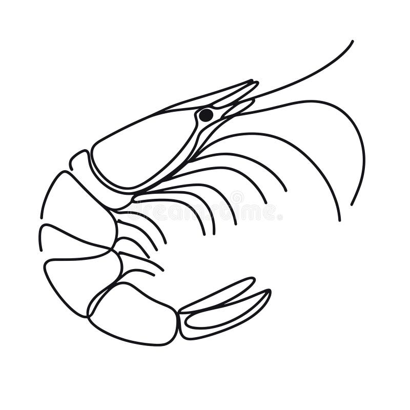 A Shrimp is Shown in a Black and White Drawing Stock Image ...