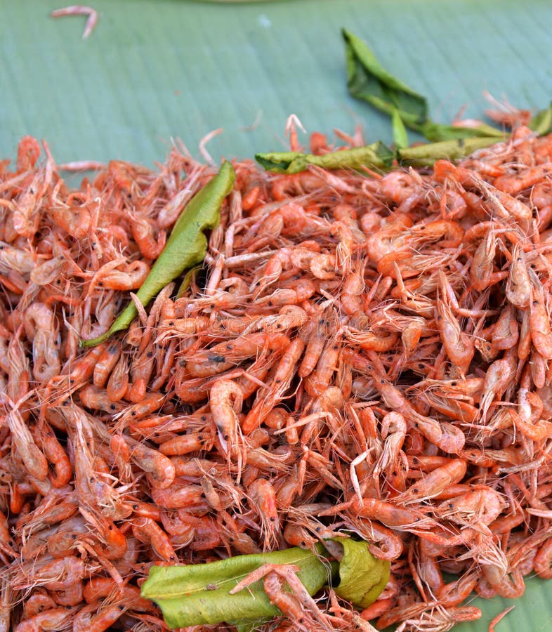 Shrimp raw stock image. Image of shrimp, grasping, hand - 40762645