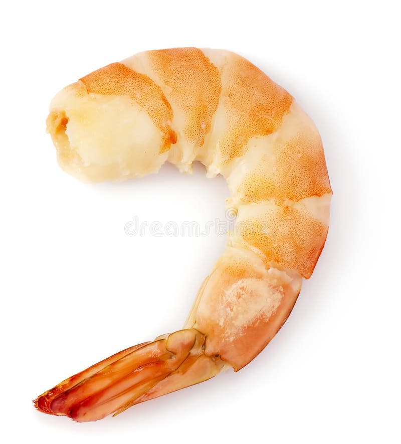 Shrimp tail stock photo. Image of seafood, orange, profile - 34257052