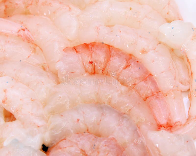 2,636 Shrimps Texture Stock Photos - Free & Royalty-Free Stock Photos ...