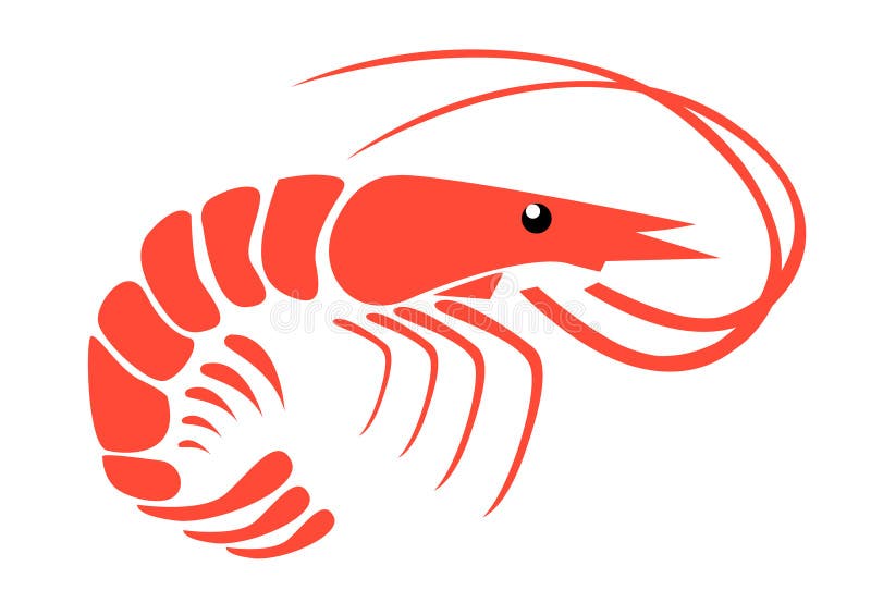 Shrimp stock vector. Illustration of shrimp, background - 48773291