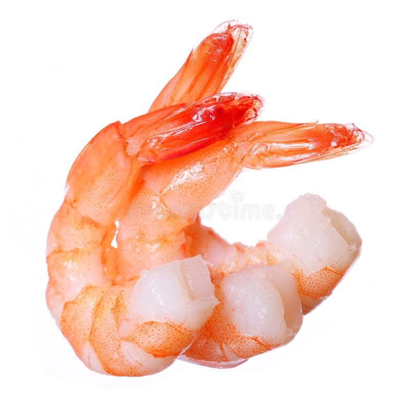 Two Shrimp stock image. Image of ingredient, appetizer - 24397361