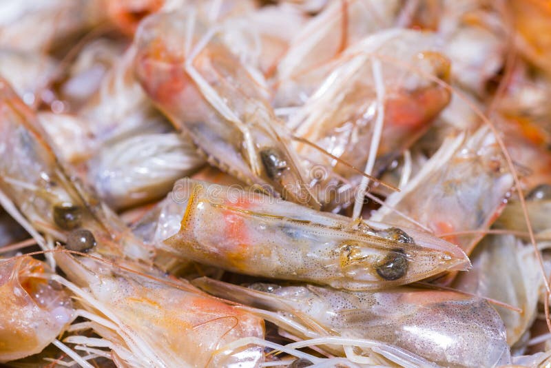 Shrimps. stock photo. Image of kitchen, peeled, mosaic - 59710238
