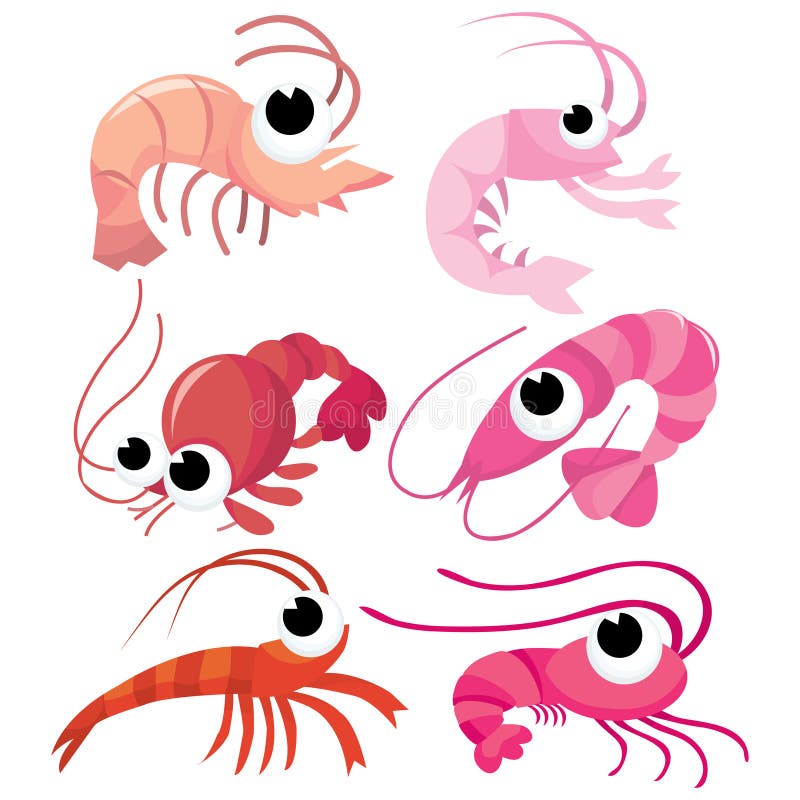 Shrimps & Prawns stock vector. Illustration of vector - 133688783